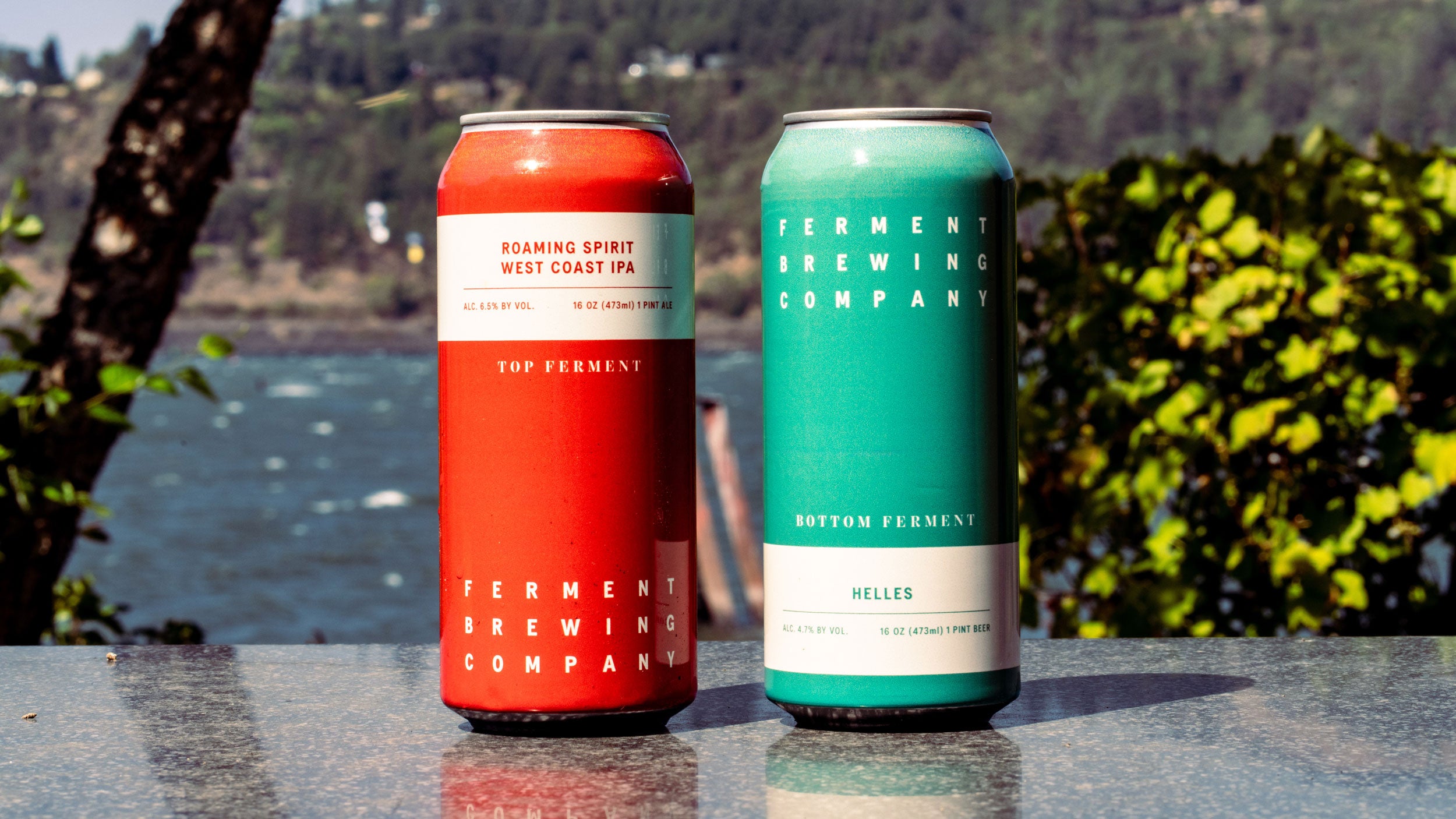 HOW THE HISTORY OF BEER BROUGHT US HERE: THE TOP & BOTTOM FERMENT SERI ...